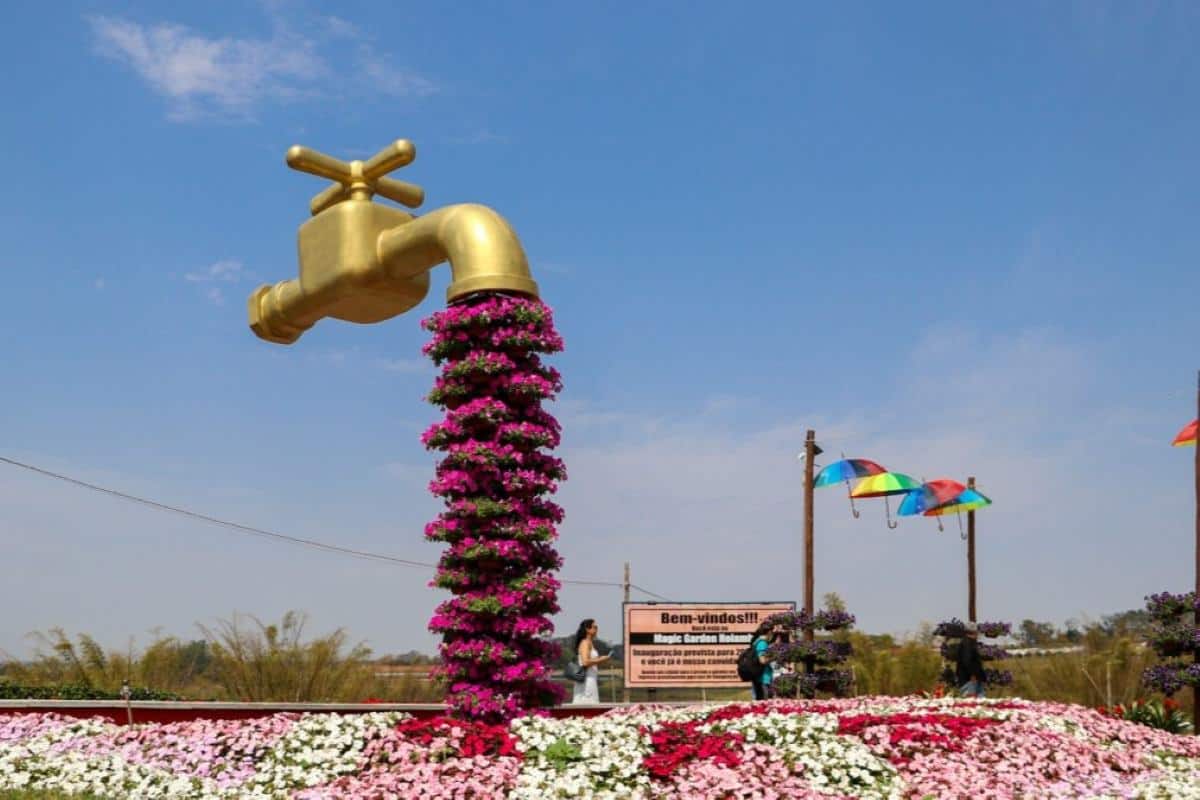 Expoflora 2025: tudo o que você precisa saber para aproveitar a maior ...